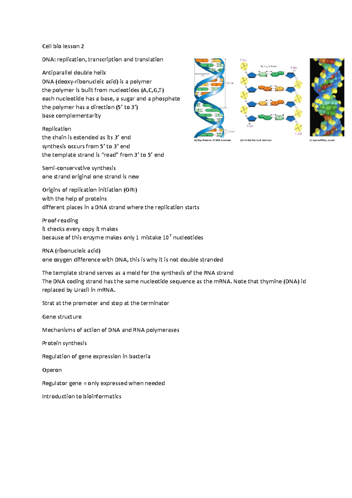 Cell Bio L2 - Lecture 2: DNA Replication, Transcription & Translation ...