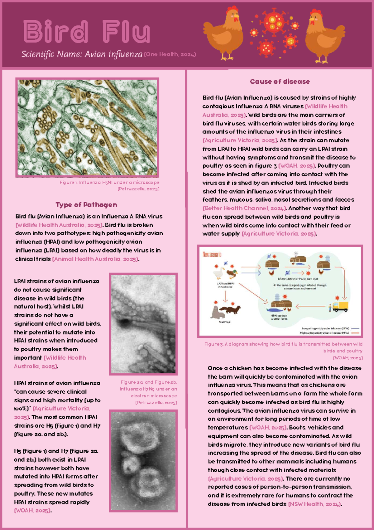 Bird Flu Overview: Avian Influenza Insights (One Health, 2024) - Studocu