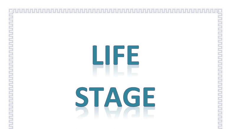 Life Stage Financial Planning - 12-Spirituality - Studocu