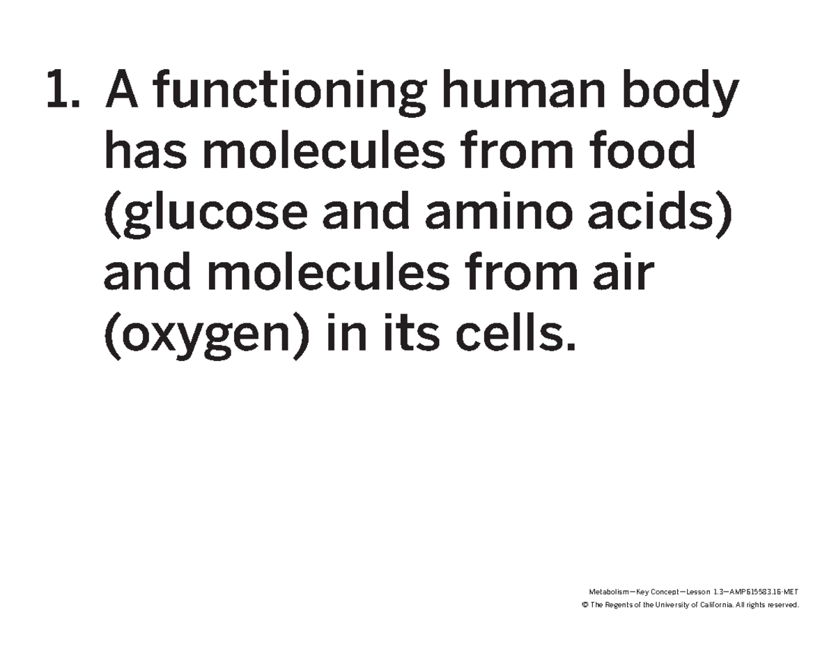 Biology 101: Human Body Systems and Cellular Functions - Studocu