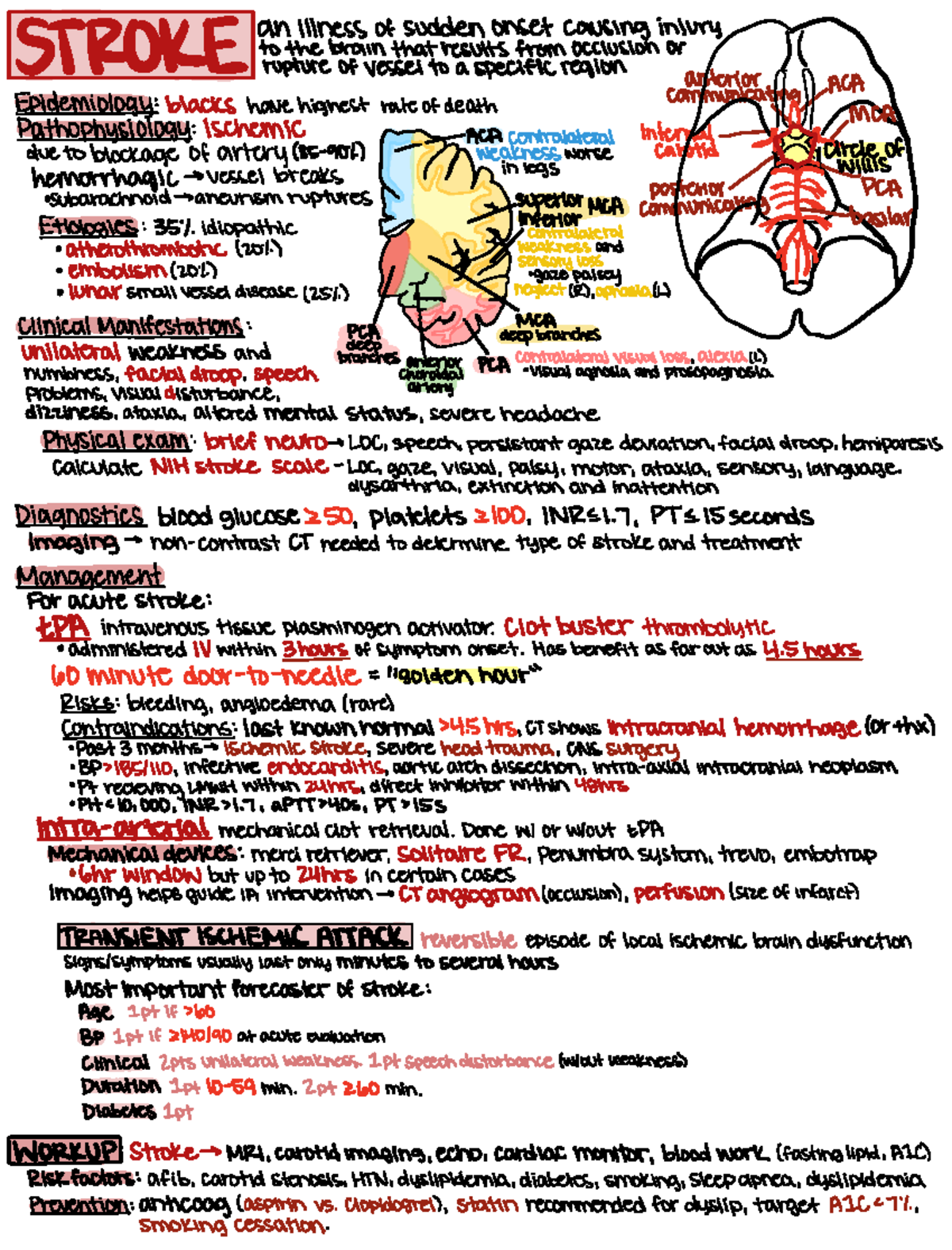 Stroke Notes - Key Information and Etiologies for Study - Studocu