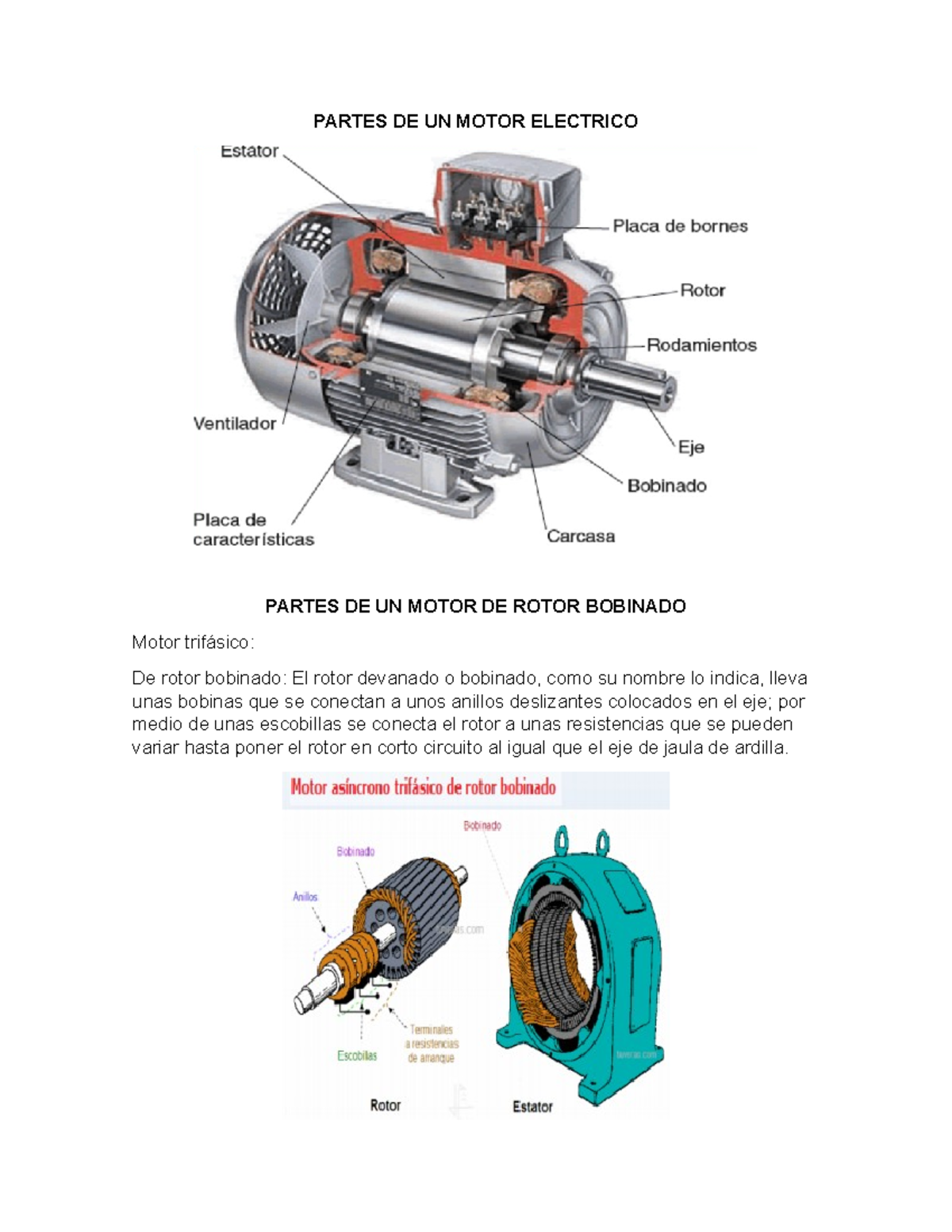 Partes de un Motor Eléctrico: Rotor Bobinado y Jaula de Ardilla - Studocu
