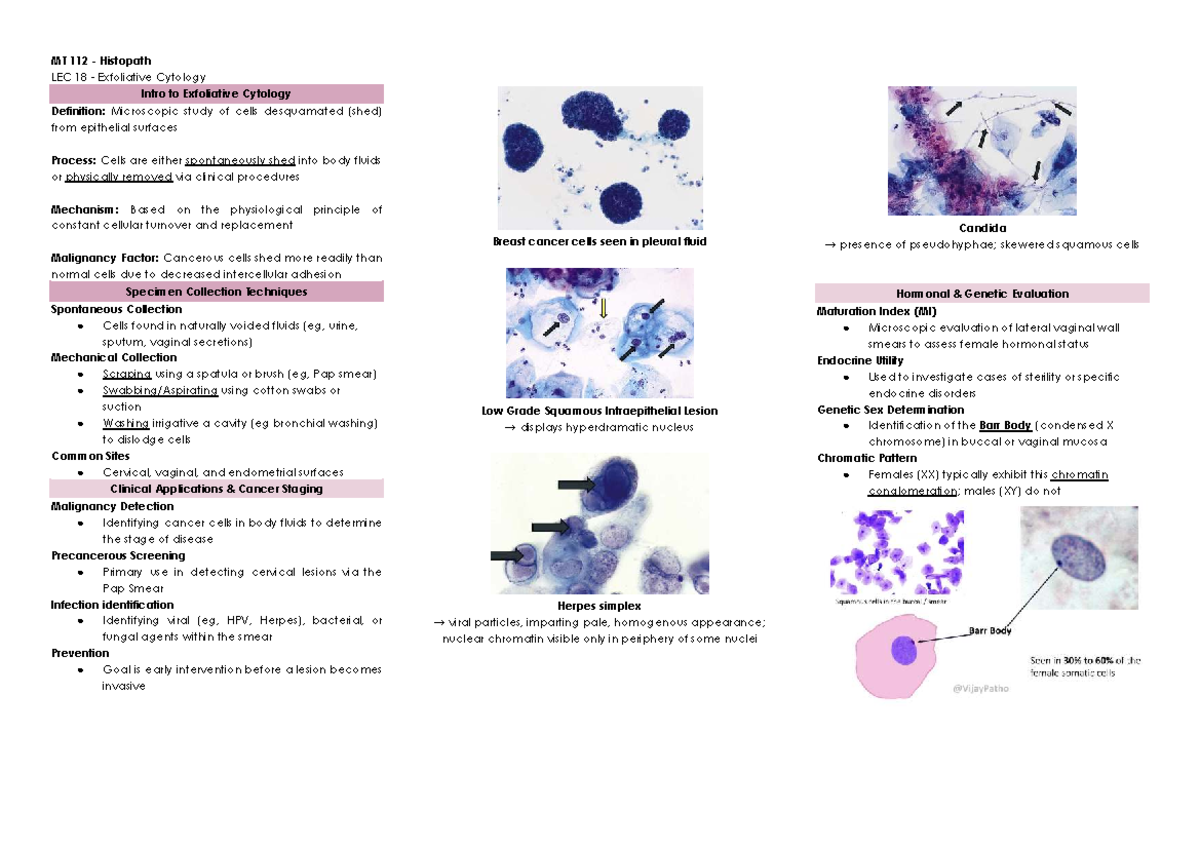 MT 112 Histopath LEC 18: Exfoliative Cytology Overview and Techniques ...