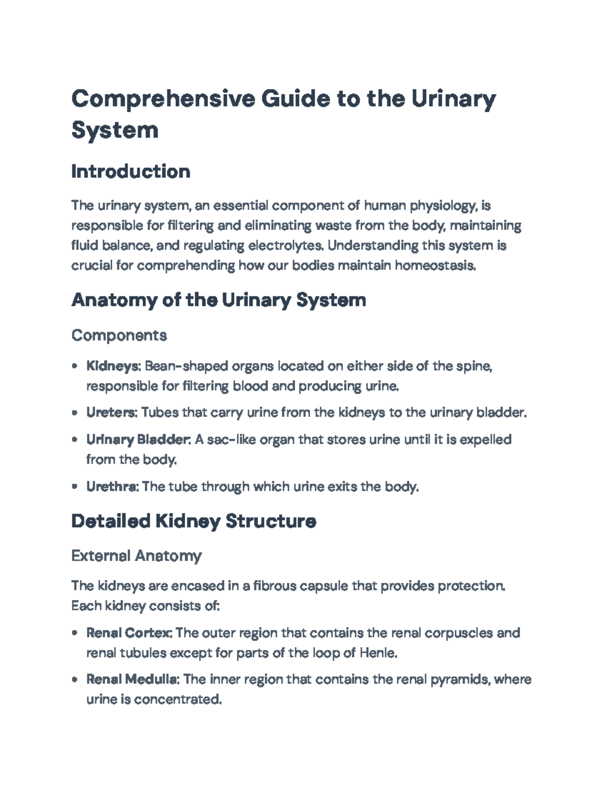 Comprehensive Overview of the Urinary System - Anatomy & Functions ...