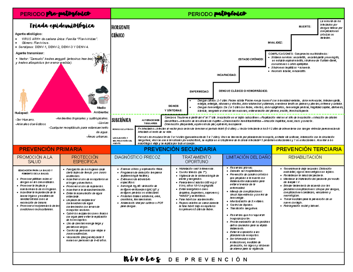 Historia Natural del Dengue: Prevención y Tratamiento Clínico - Studocu