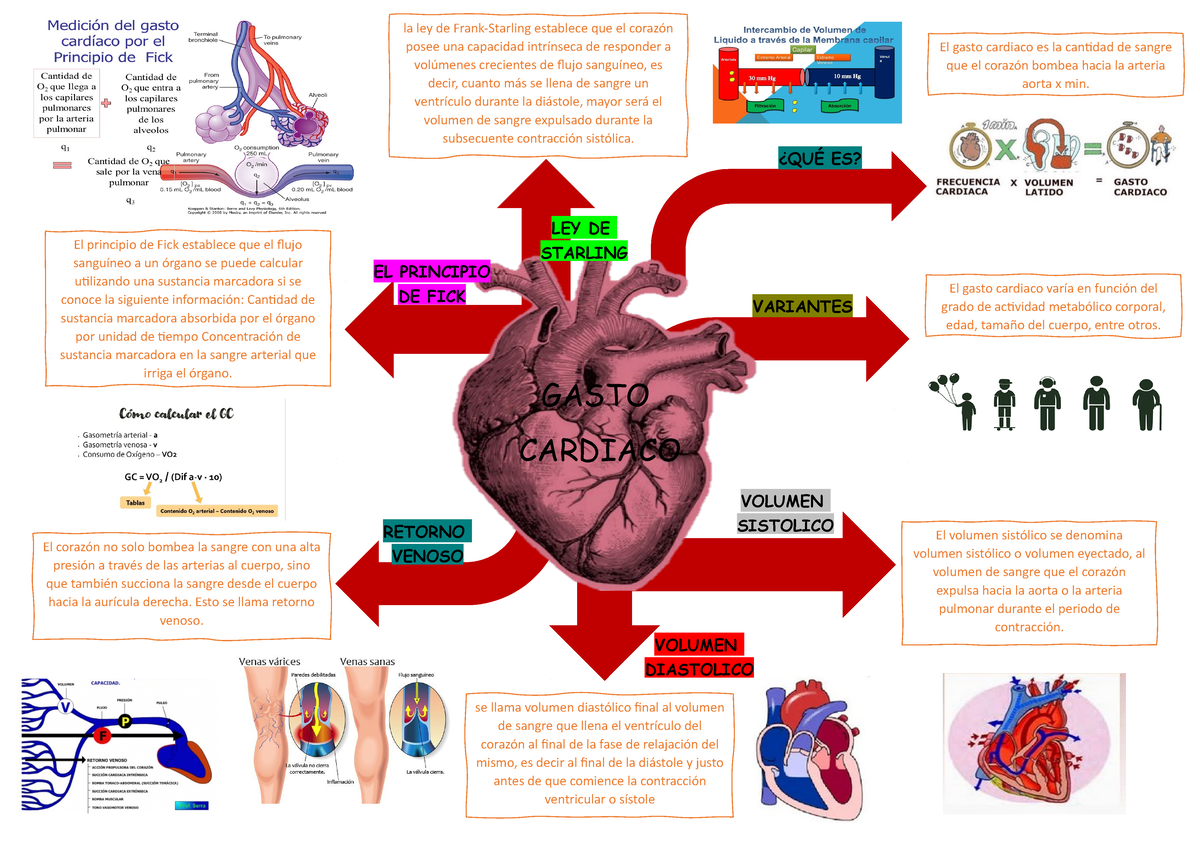Mapa mental- Gasto Cardiaco - g RETORNO VENOSO VOLUMEN DIASTOLICO ...