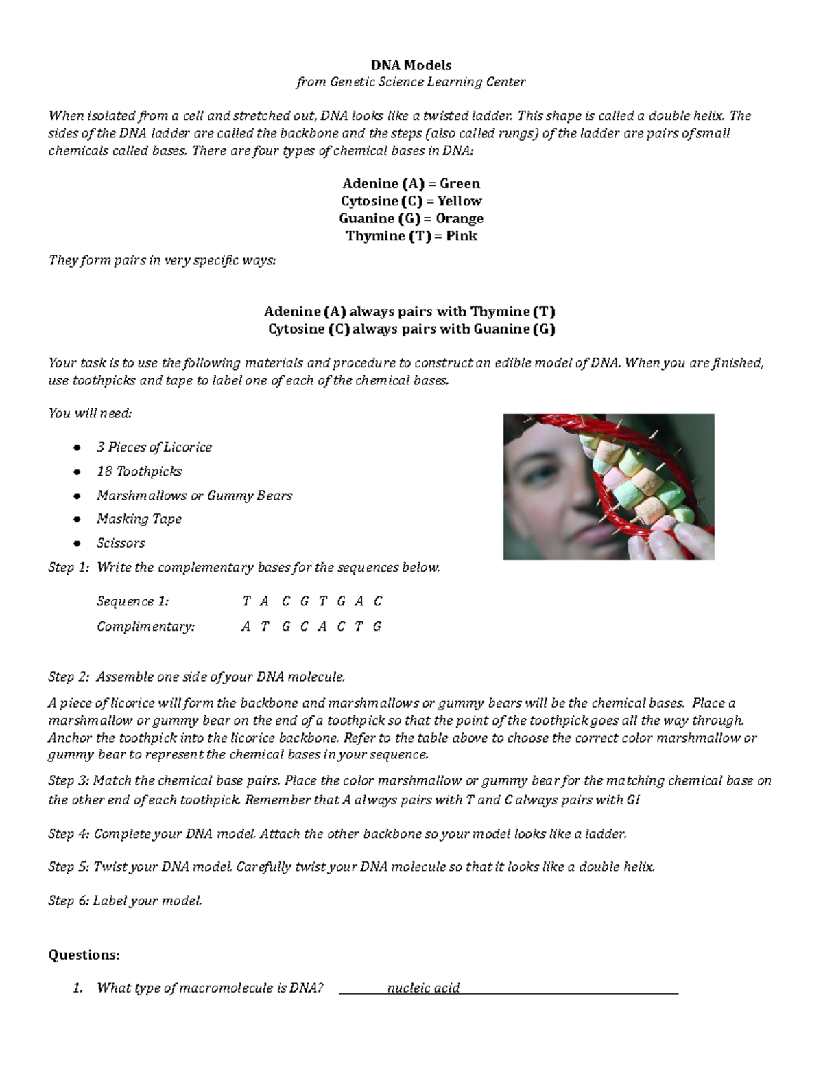 DNA Candy Model & Replication Lab: Exploring Structure & Function - Studocu