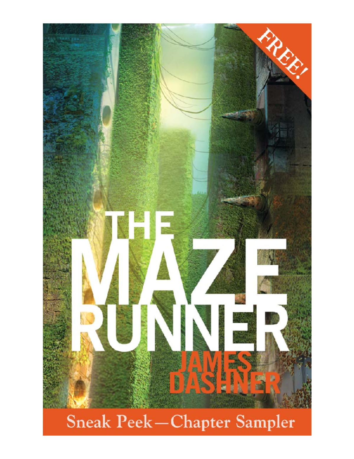 The maze runner - Libro reconocido - CHAPTER 1 He began his new life ...