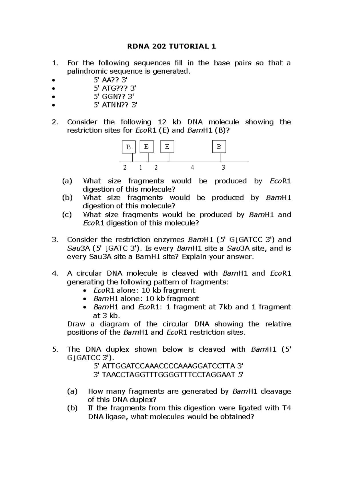 RDNA 202 TUTORIAL 1: Palindromic Sequences & Restriction Enzymes - Studocu