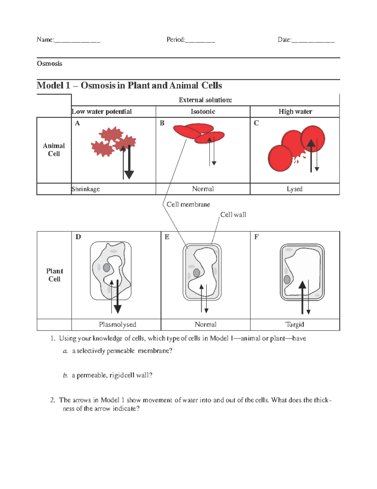 WJEC Biology GCSE Final Exam Notes: Digestion & the Digestive System ...