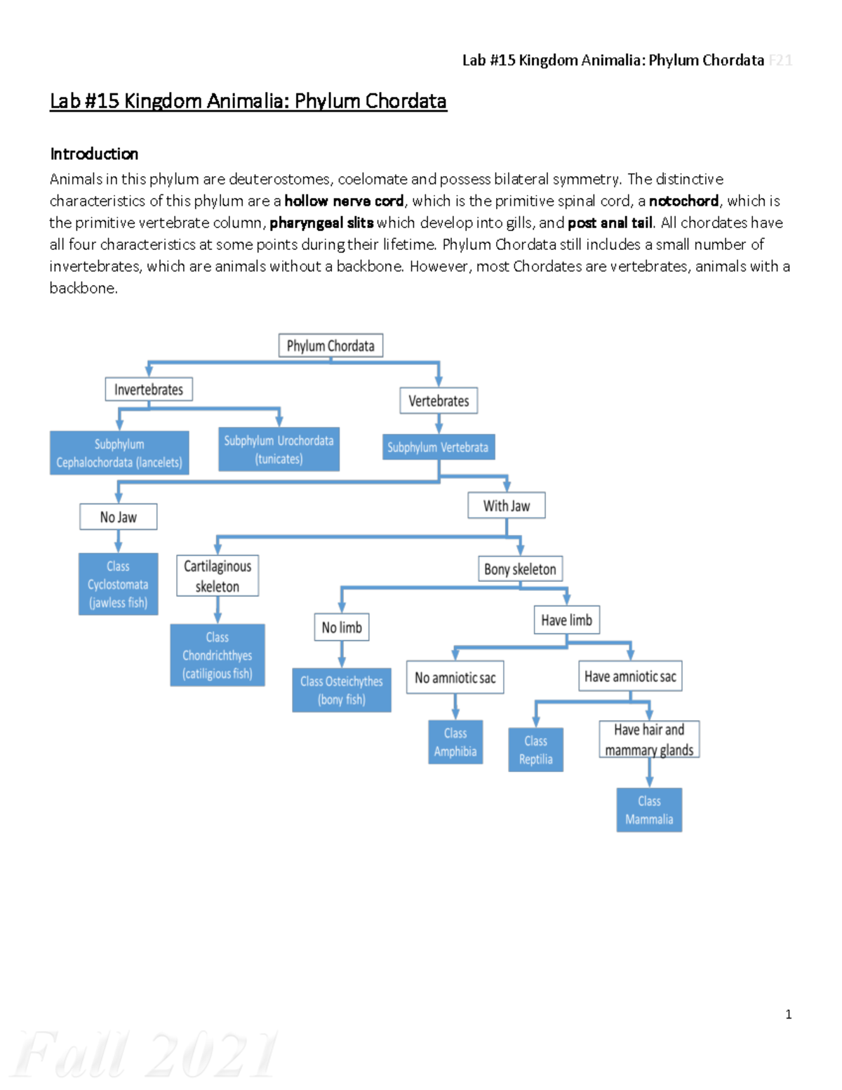 Lab #15 – Kingdom Animalia Phylum Chordata - Lab #1 5 Kingdom Animalia: Phylum Chordata ...