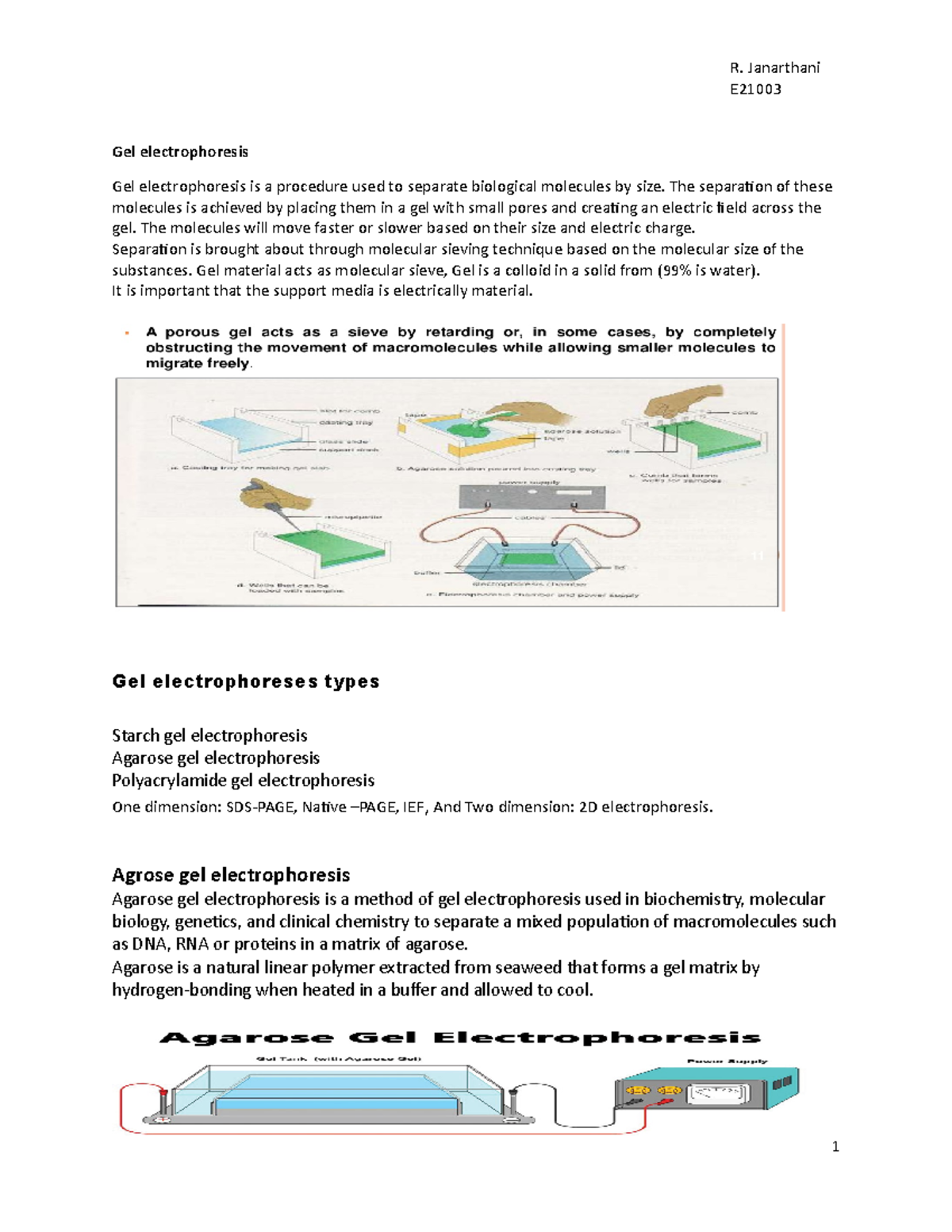 Gel Electrophoresis Lecture Notes - Key Concepts and Methods - Studocu