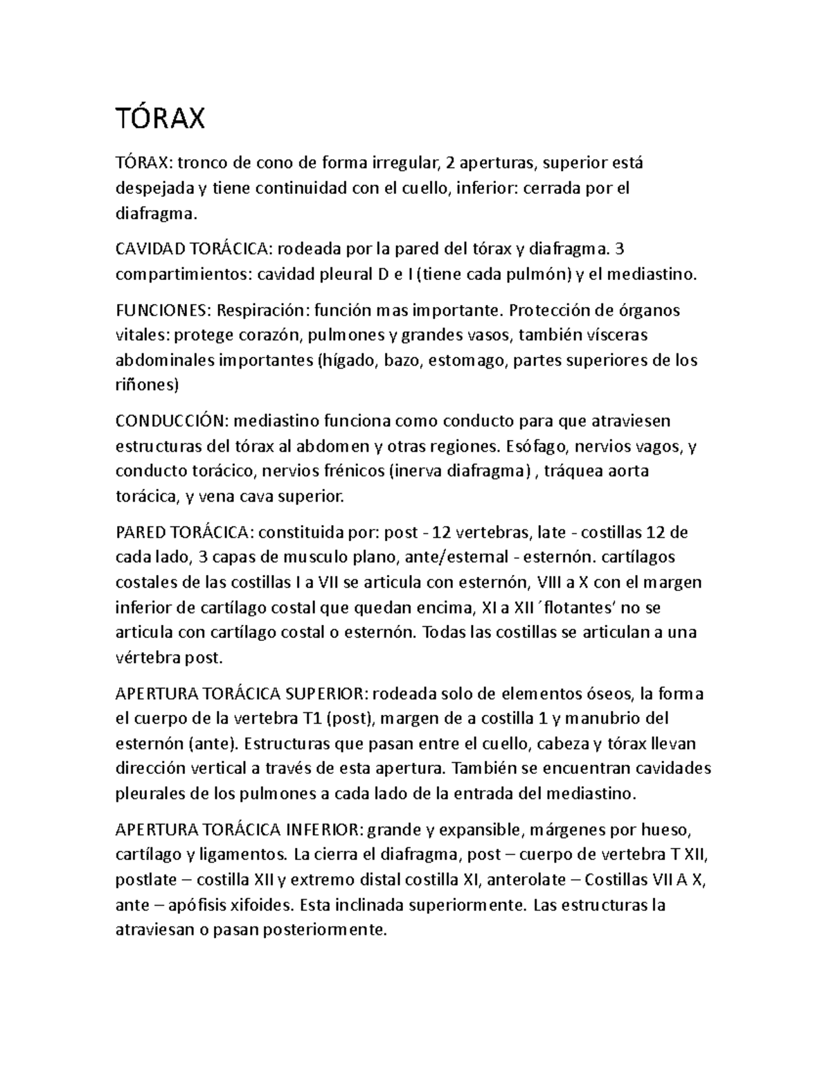 Resumen Torax Anatomia de Grey 1 4ta ed - TÓRAX TÓRAX: tronco de cono ...