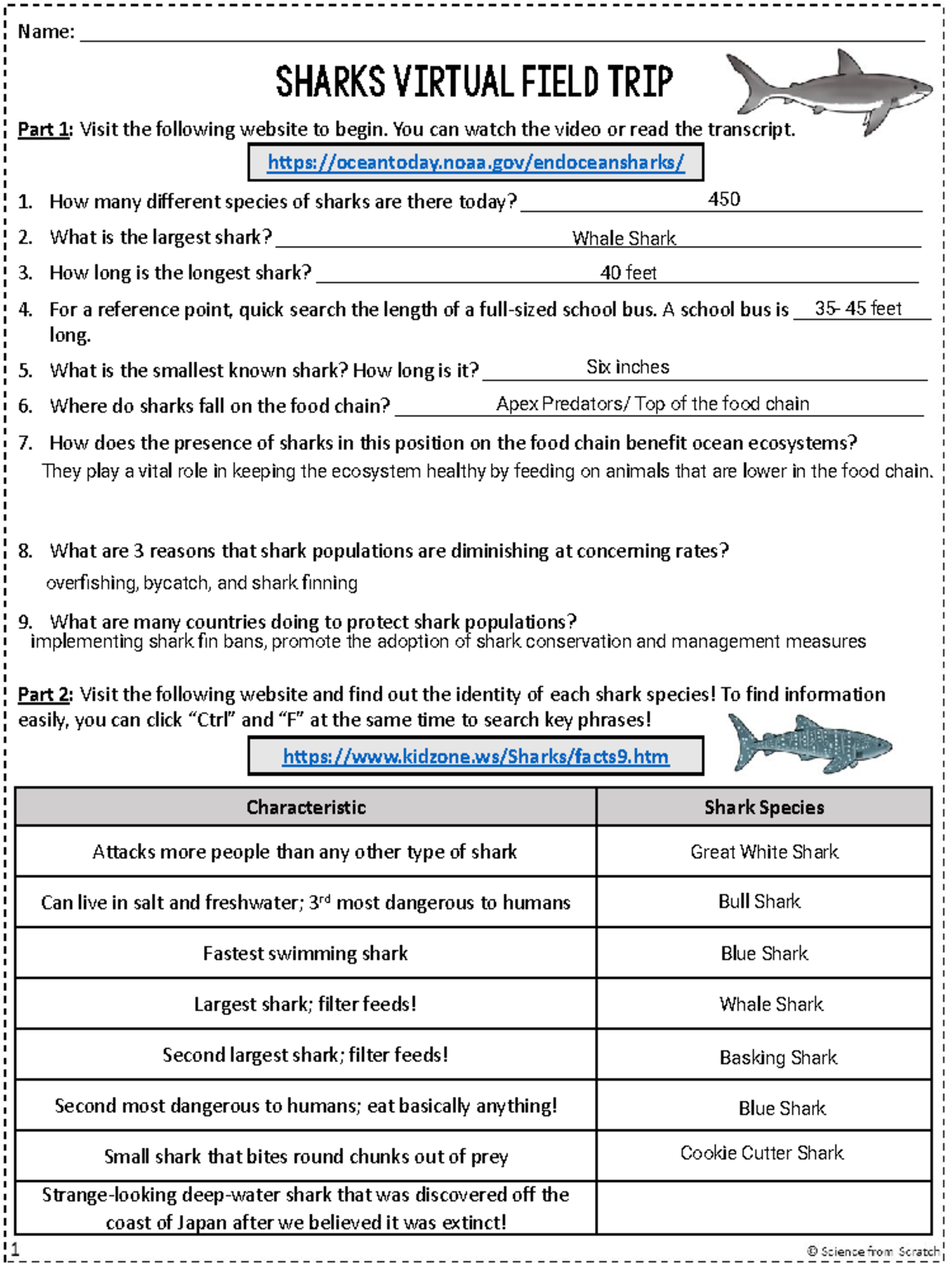 Sharks Virtual Field Trip: Exploring Species & Conservation (F) - Studocu