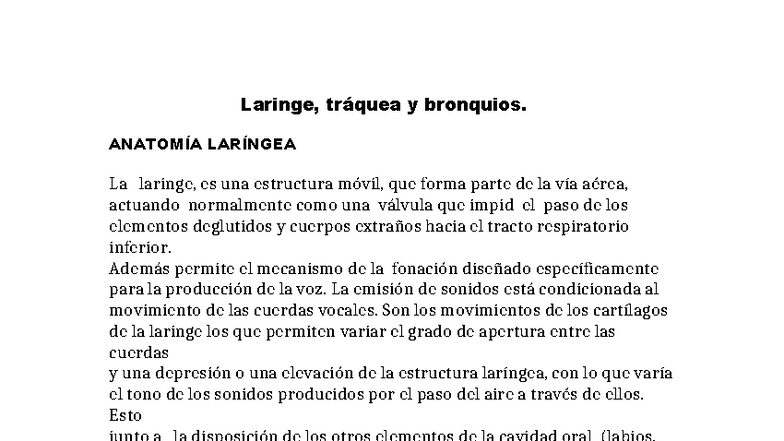 Anatomía de la Laringe, Tráquea y Bronquios: Estudio Completo - Studocu