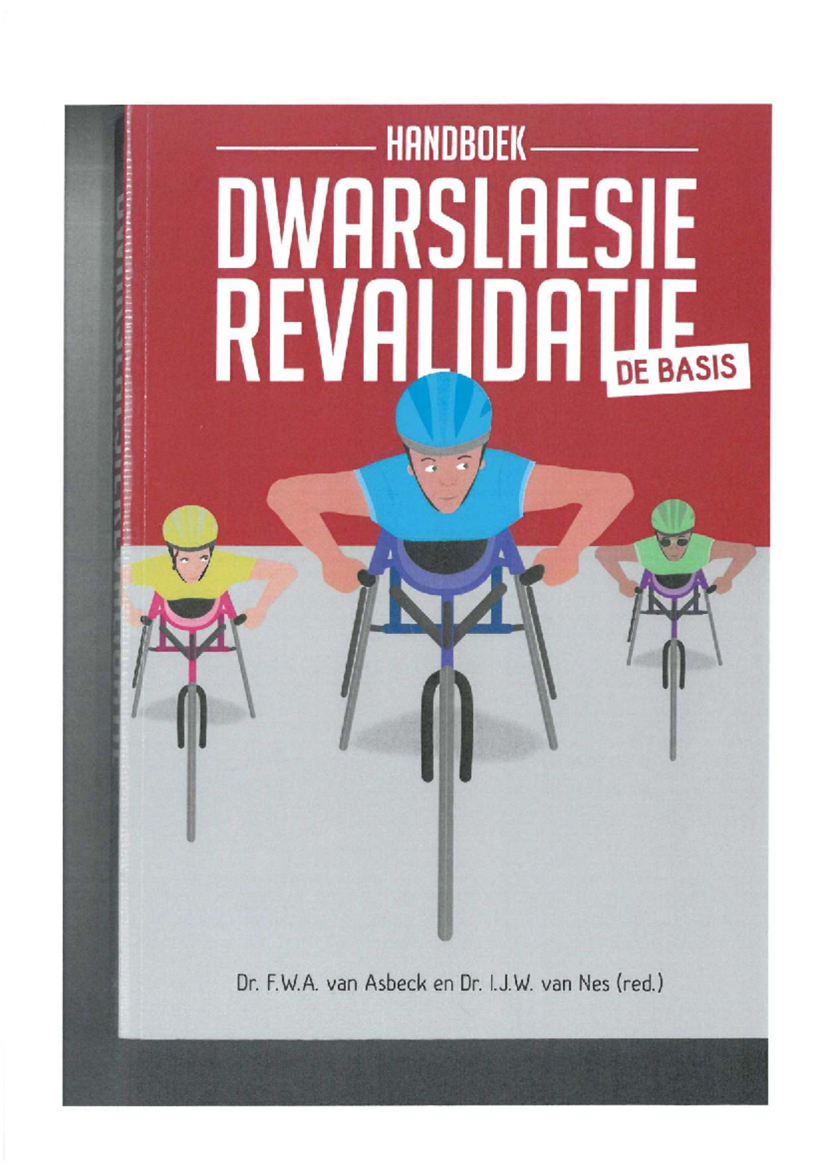 Handboek Dwarslaesierevalidatie: Interne Factoren en Preventie van ...