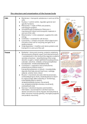 BTEC Level 3 Health and Social Care - Unit 3: Anatomy and Physiology - Centre Number Learner ...
