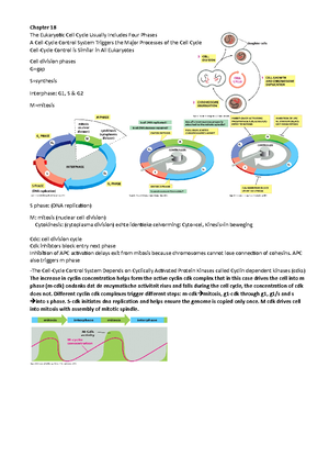 Week 10 Gene Expression Worksheet - How is gene expression controlled ...