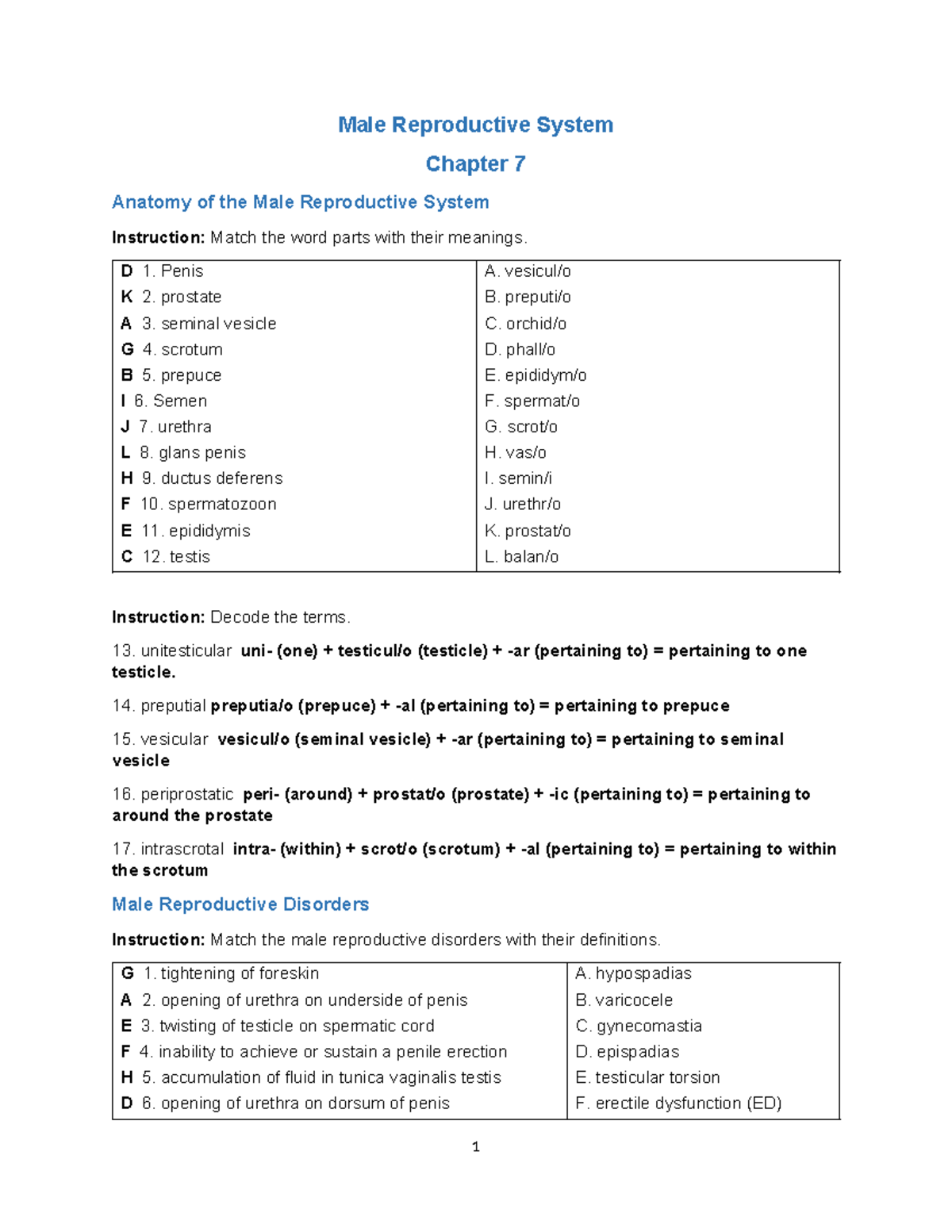 AHP105 Wk6 Assignment - Male Reproductive System Chapter 7 Anatomy of ...