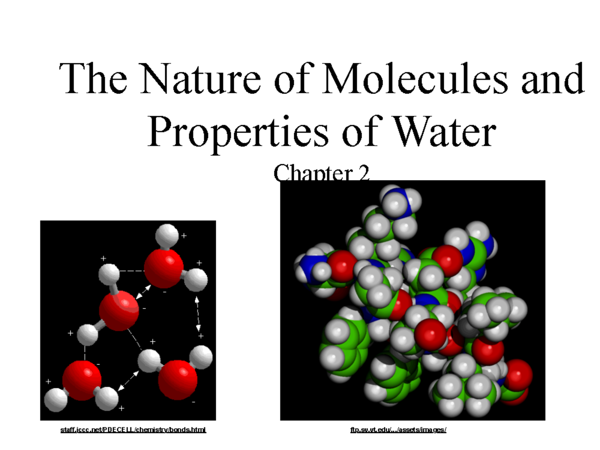 Chapter 2-The Nature of Molecules and Properties of Water - The Nature ...