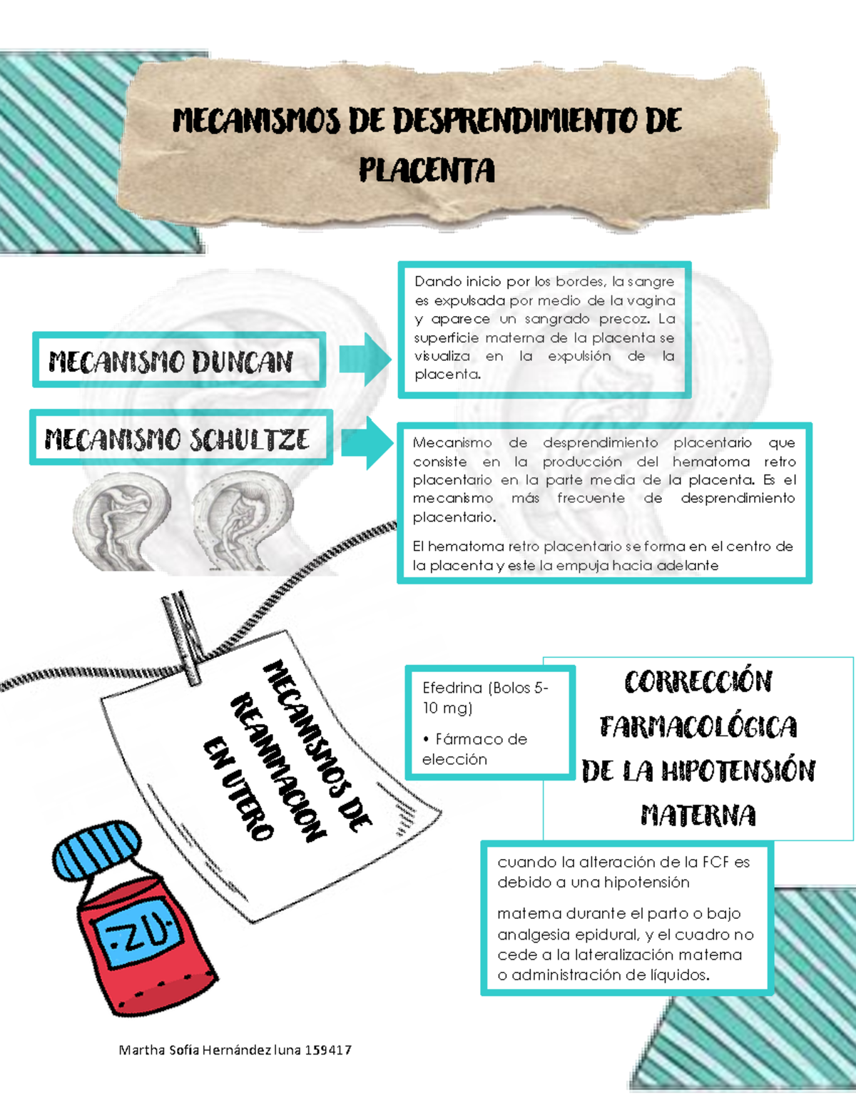 Mecanismos de Desprendimiento de Placenta y Manejo Farmacológico - Studocu