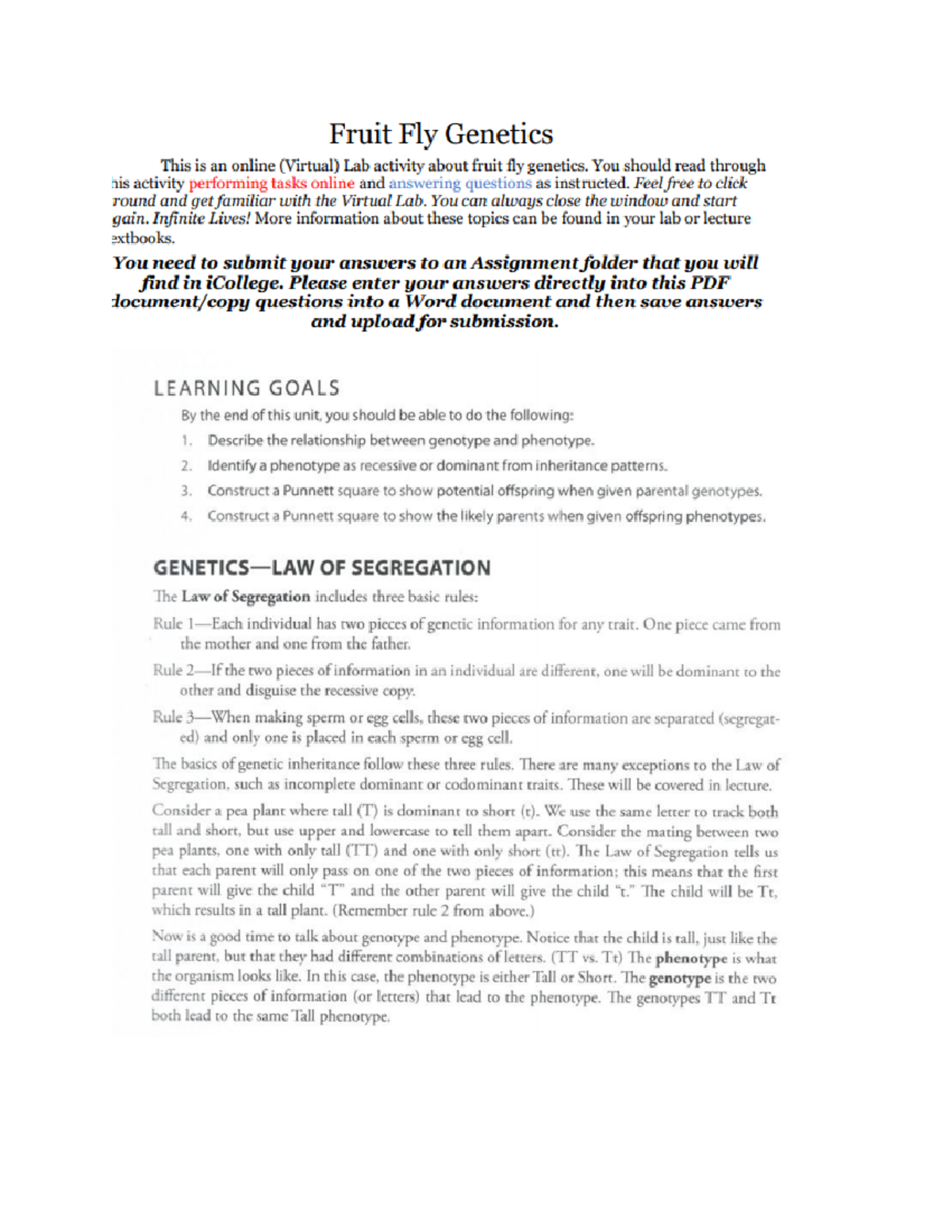 Fruit Fly genetics worksheet - Select a female and a male from the F1 ...