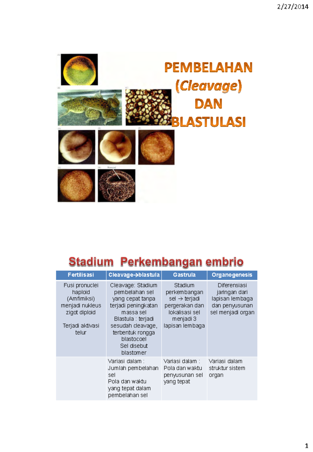 Proses Cleavage dan Blastula dalam Embriologi: Tipe dan Variasi - Studocu