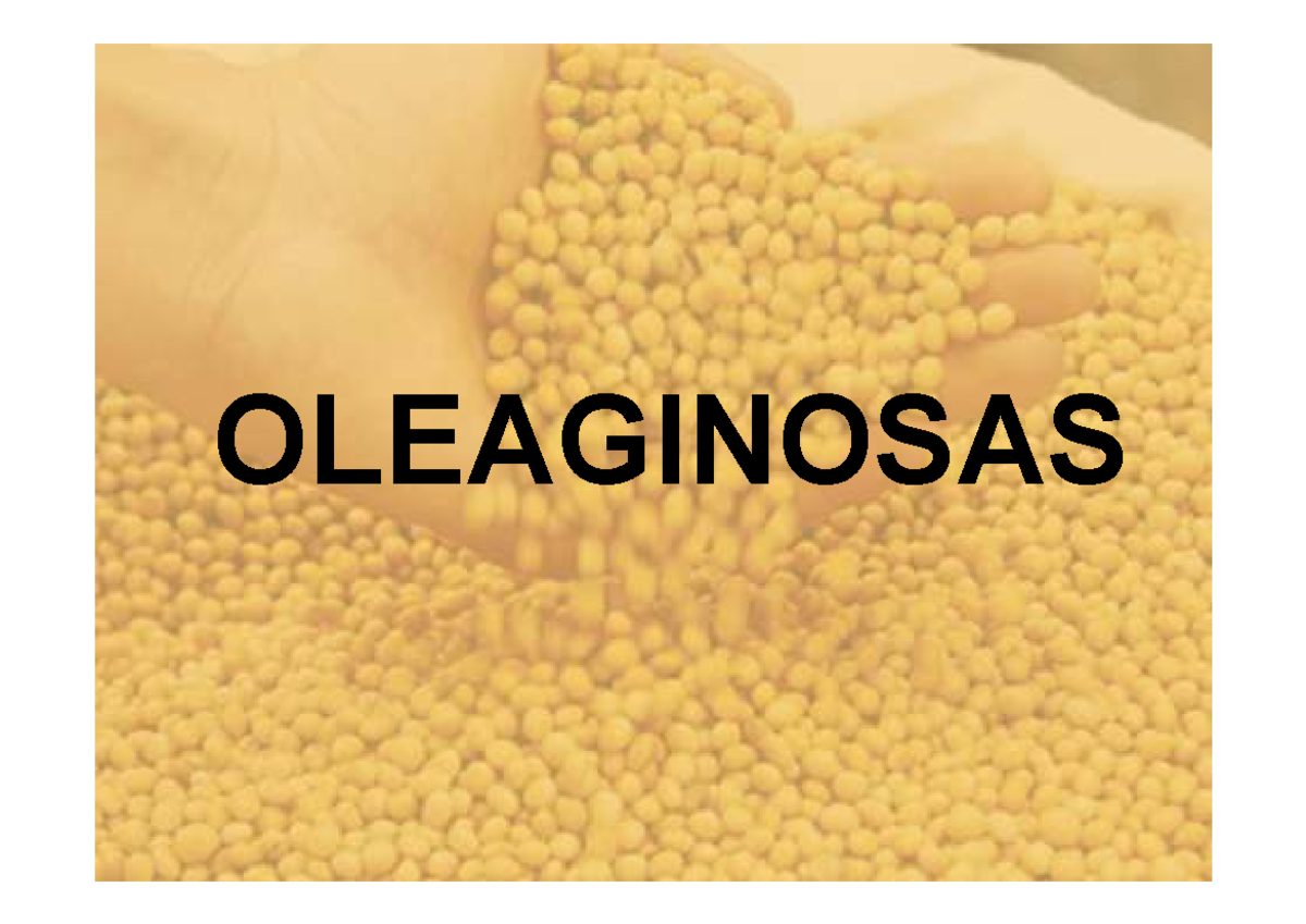 Oleaginosas: Generalidades y Importancia Económica en la Agricultura ...