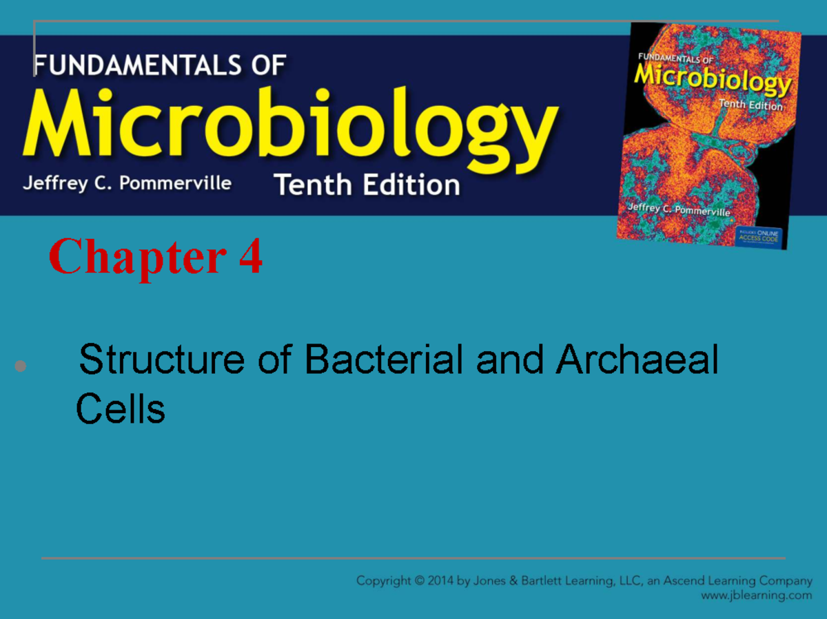 Chapter 4: Structure and Function of Bacterial and Archaeal Cells - Studocu