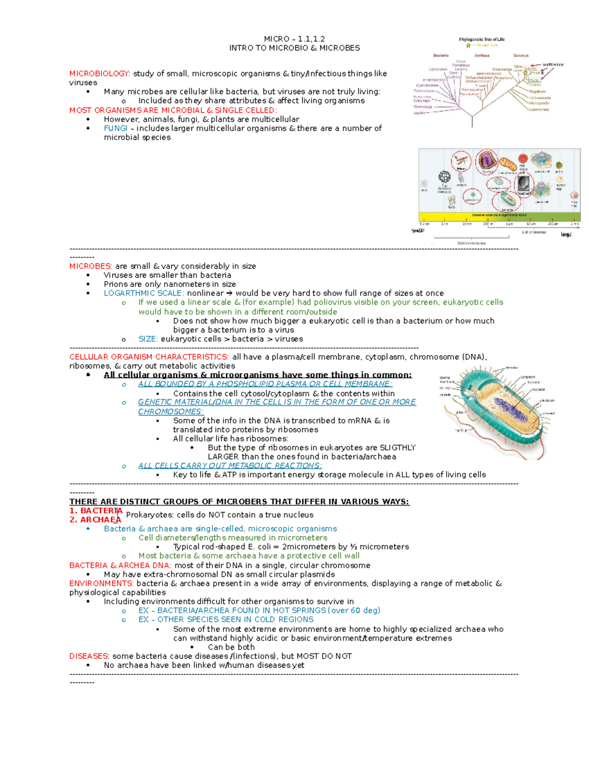 MICRO 1.1, 1.2 INTRO TO MICROBIOLOGY: Microbial Diversity ...