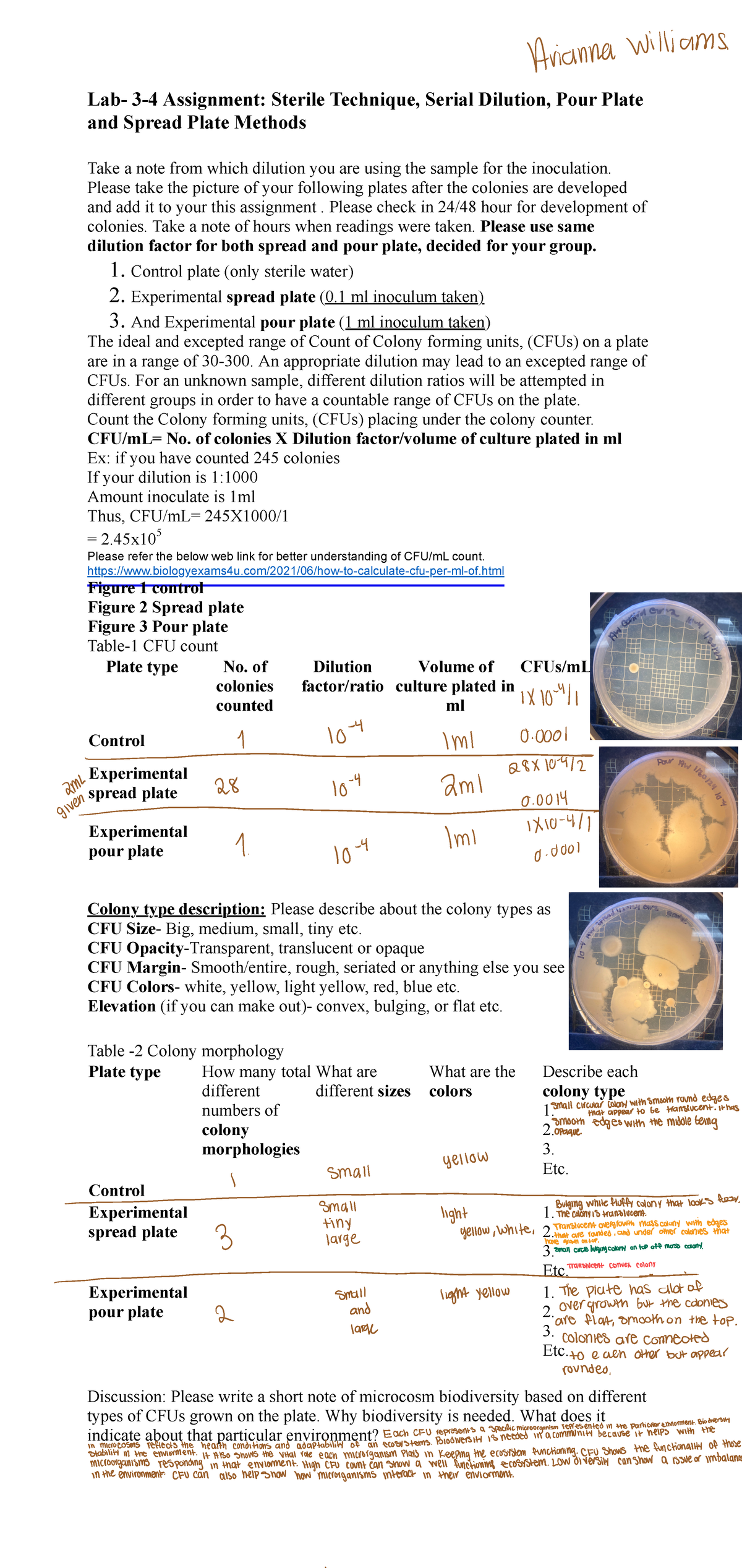 Lab 3 Microbiology sterile dilution - Lab- 3-4 Assignment: Sterile ...