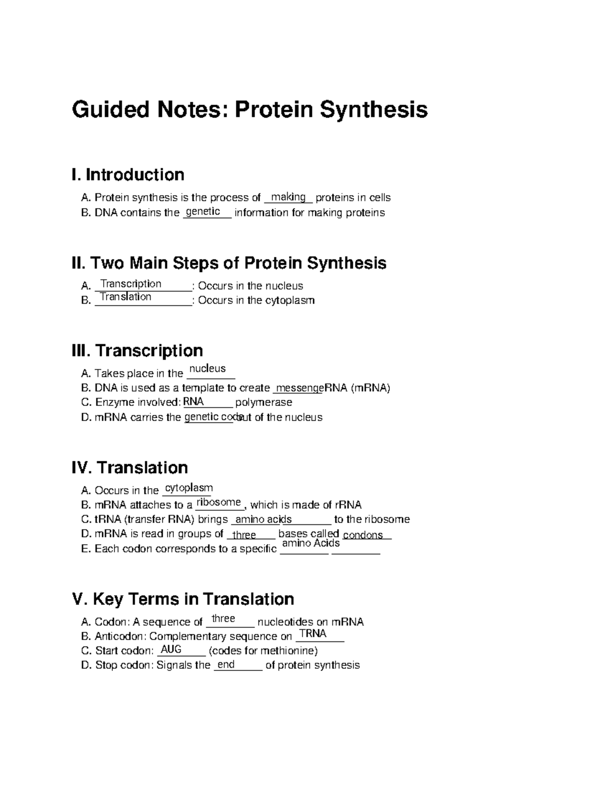 Kami Export - Samuel Bautista - Protein Synthesis - Amoeba Sisters ...