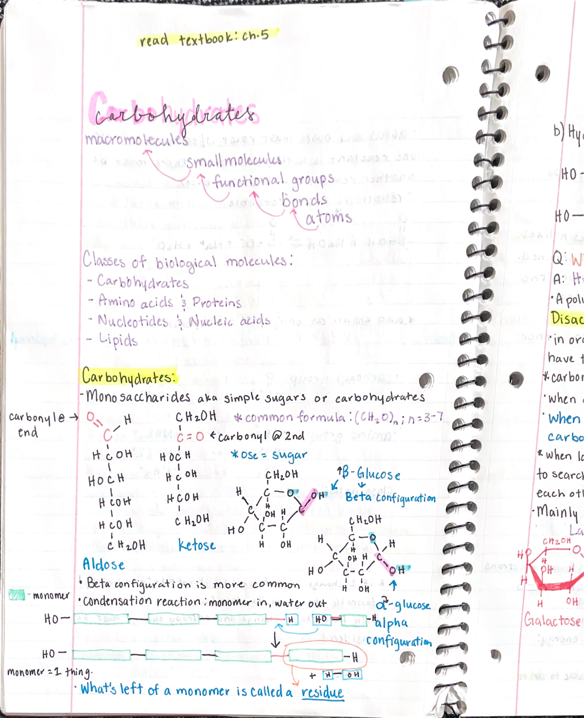 Carbohydrates notes - read textbook: ch carbohydreates b macromolecules ...