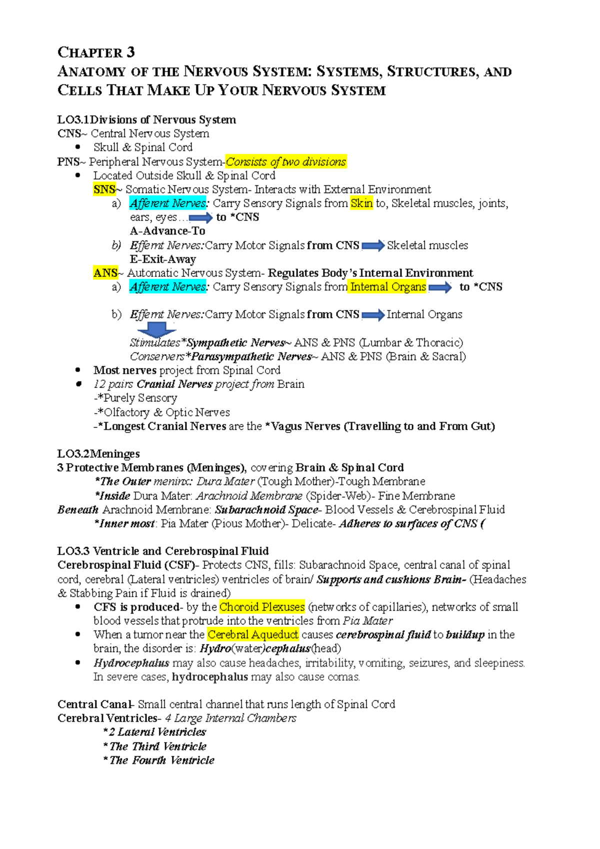 Chapter 3 PSY202 - Overview of Nervous System Anatomy and Functions ...