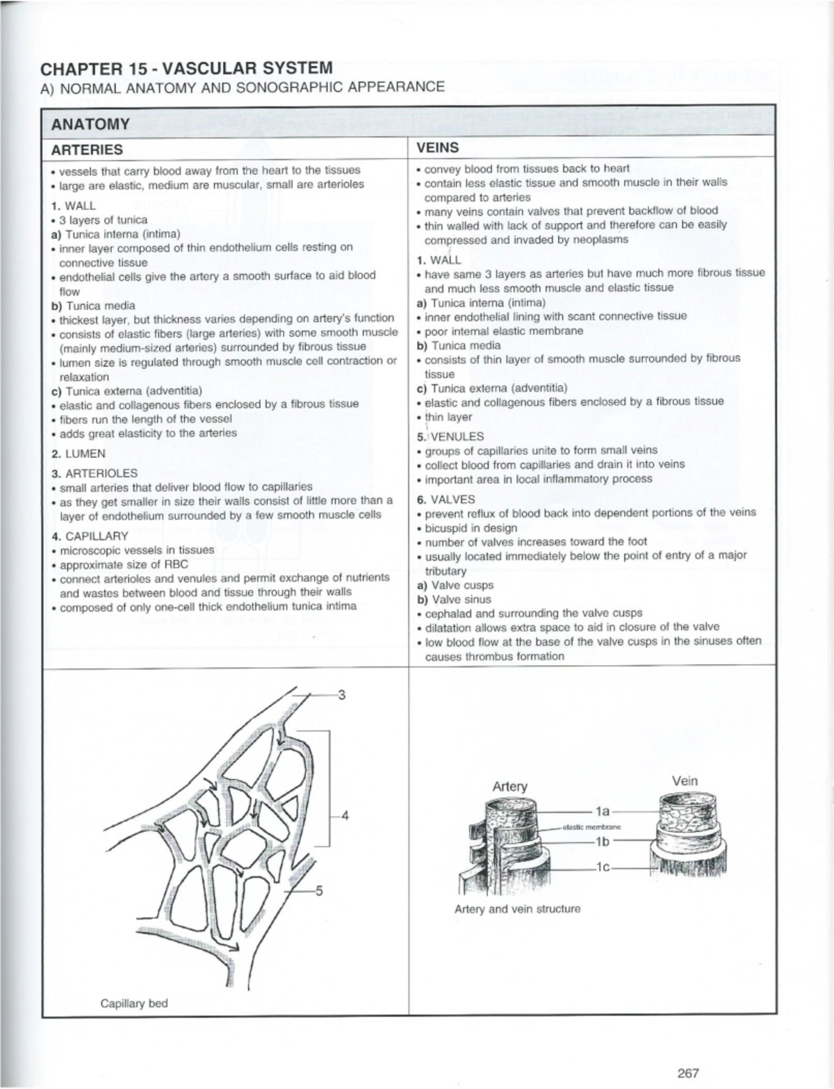 Midterm Study Guide for Course Code ABC123: Key Concepts and Topics ...