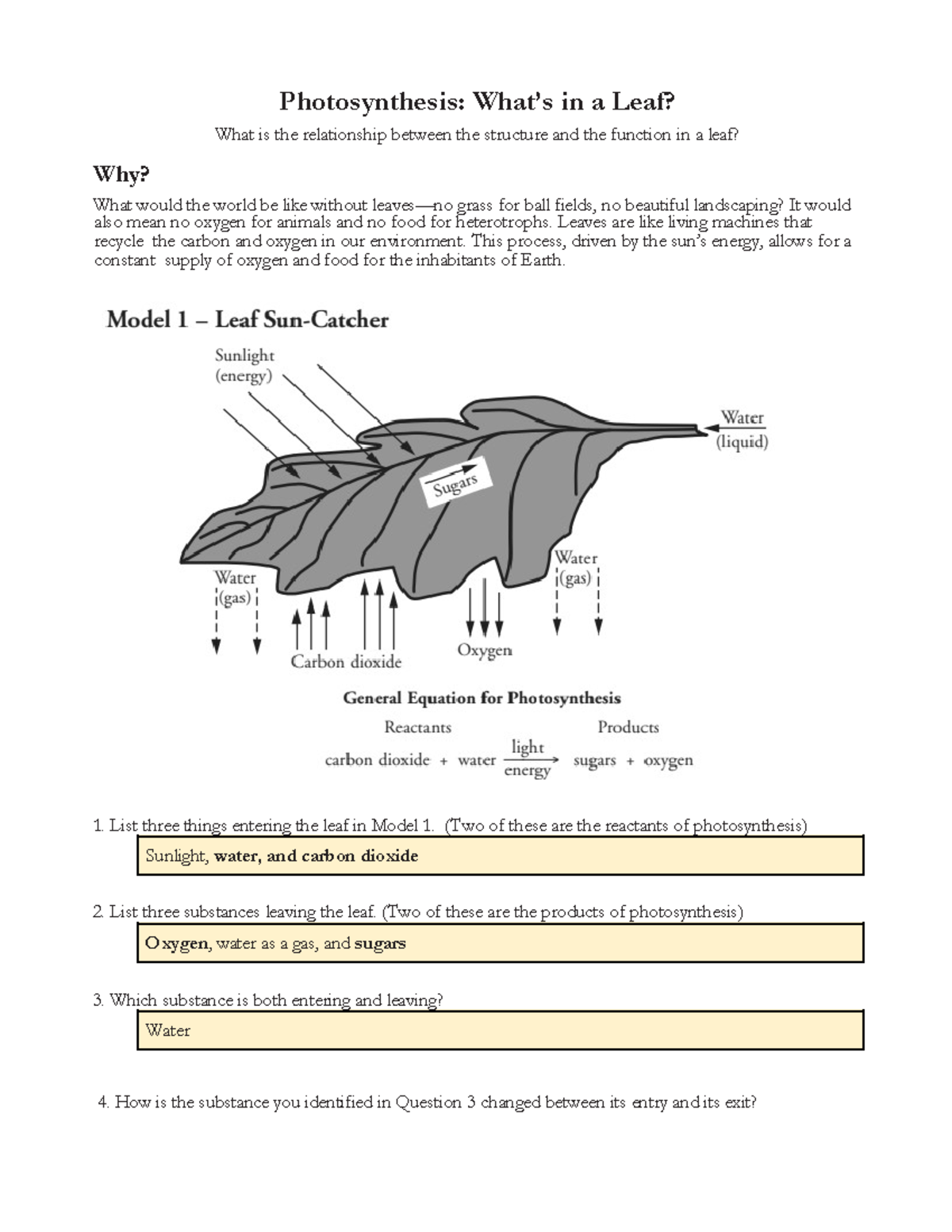 Photosynthesis Overview: Key Concepts from Leaf Structure and Function ...