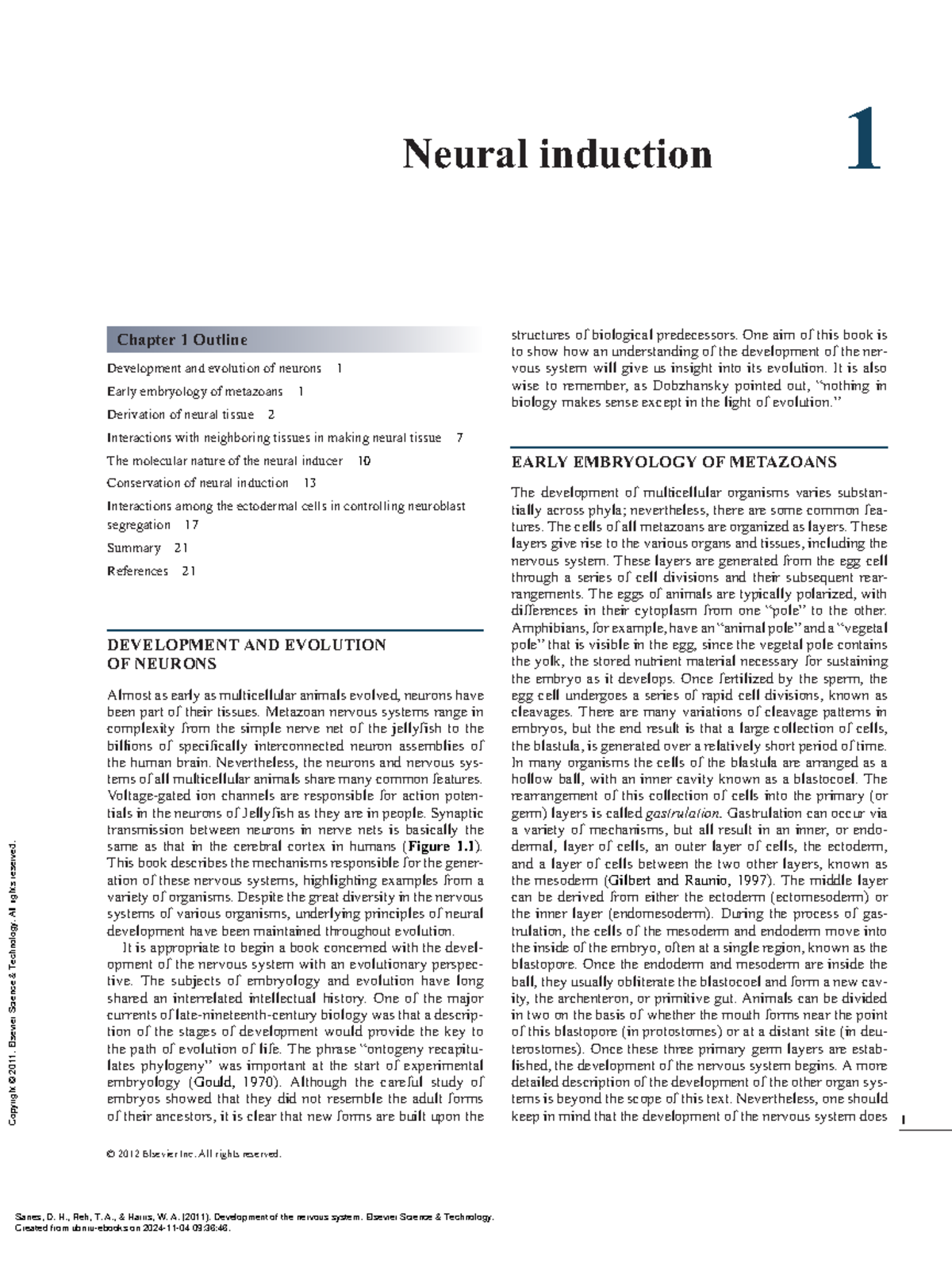 Chpt 1 - Neural Induction and Development of the Nervous System ...
