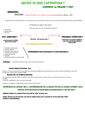 La perception - notes cours sur la peception - Psychologie cognitive ...