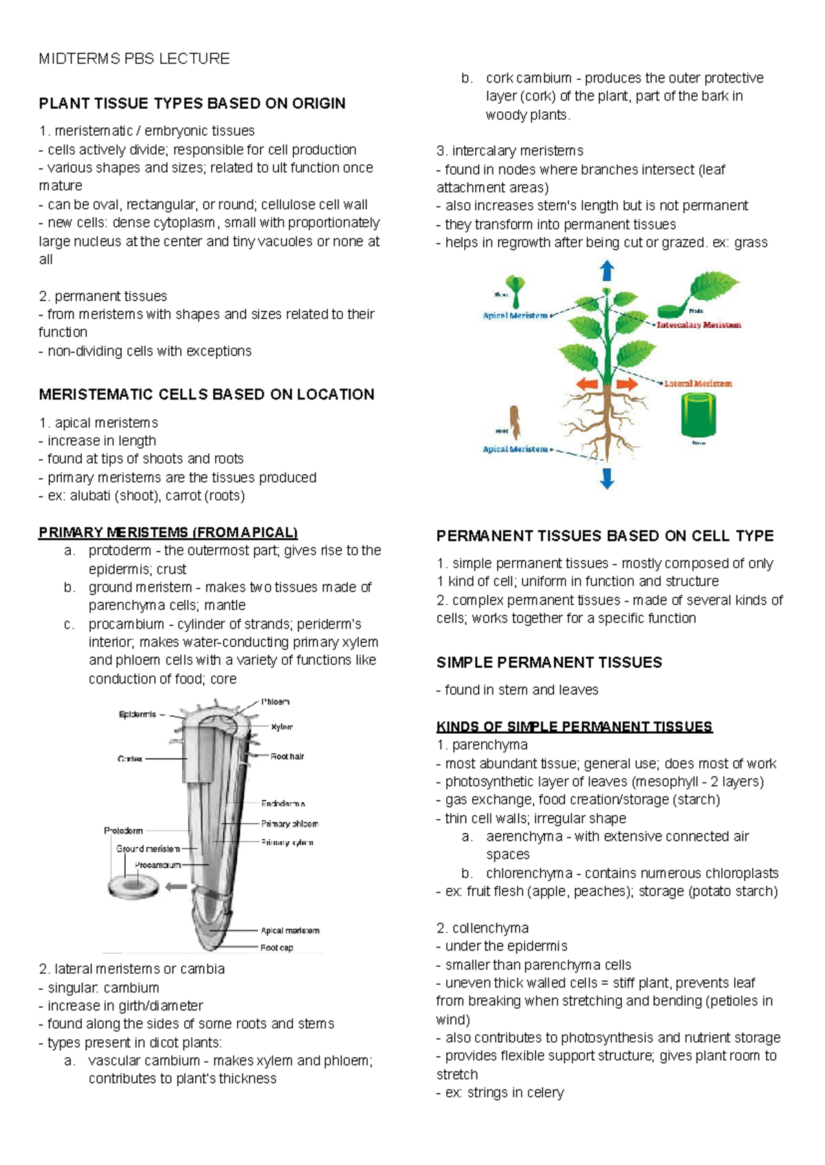 PBS Plant Tissues - Midterm Lecture Notes on Tissues and Anatomy - Studocu