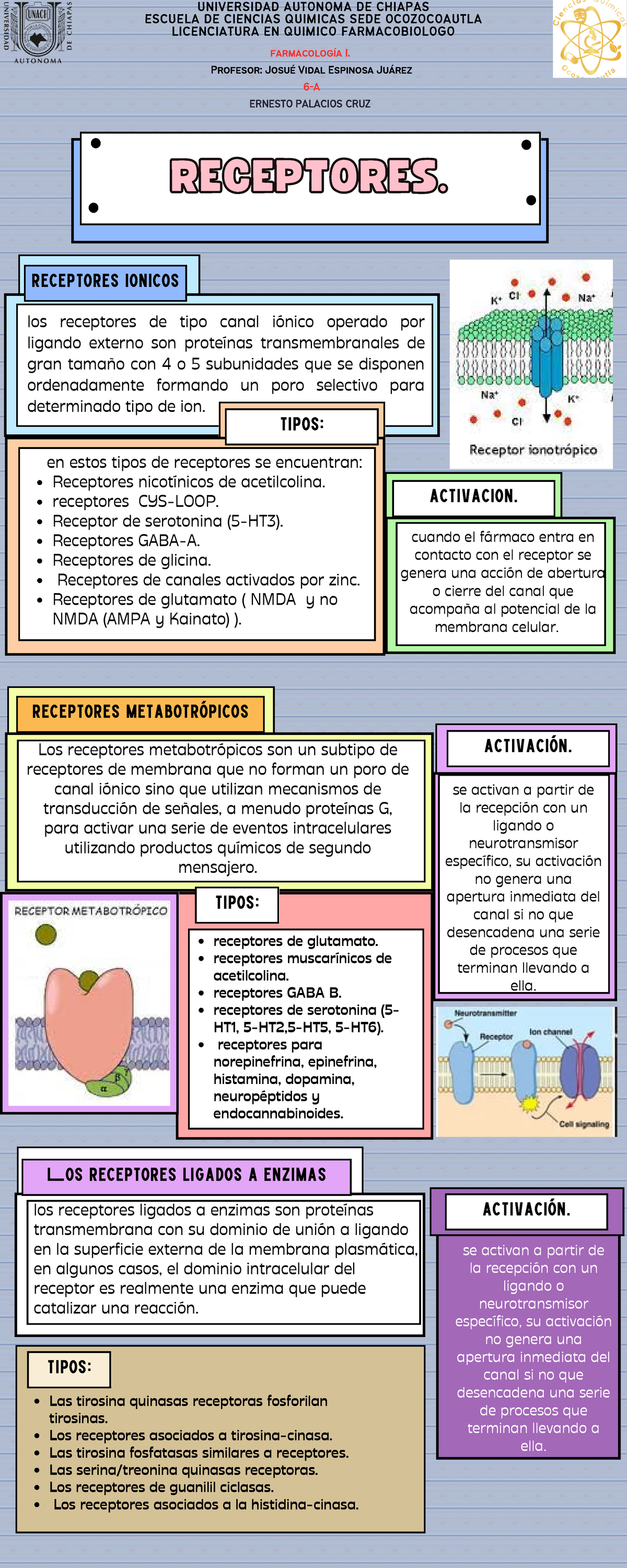 Infografia de todos los receptores - receptores ionicos tipos: activacion. receptores ...