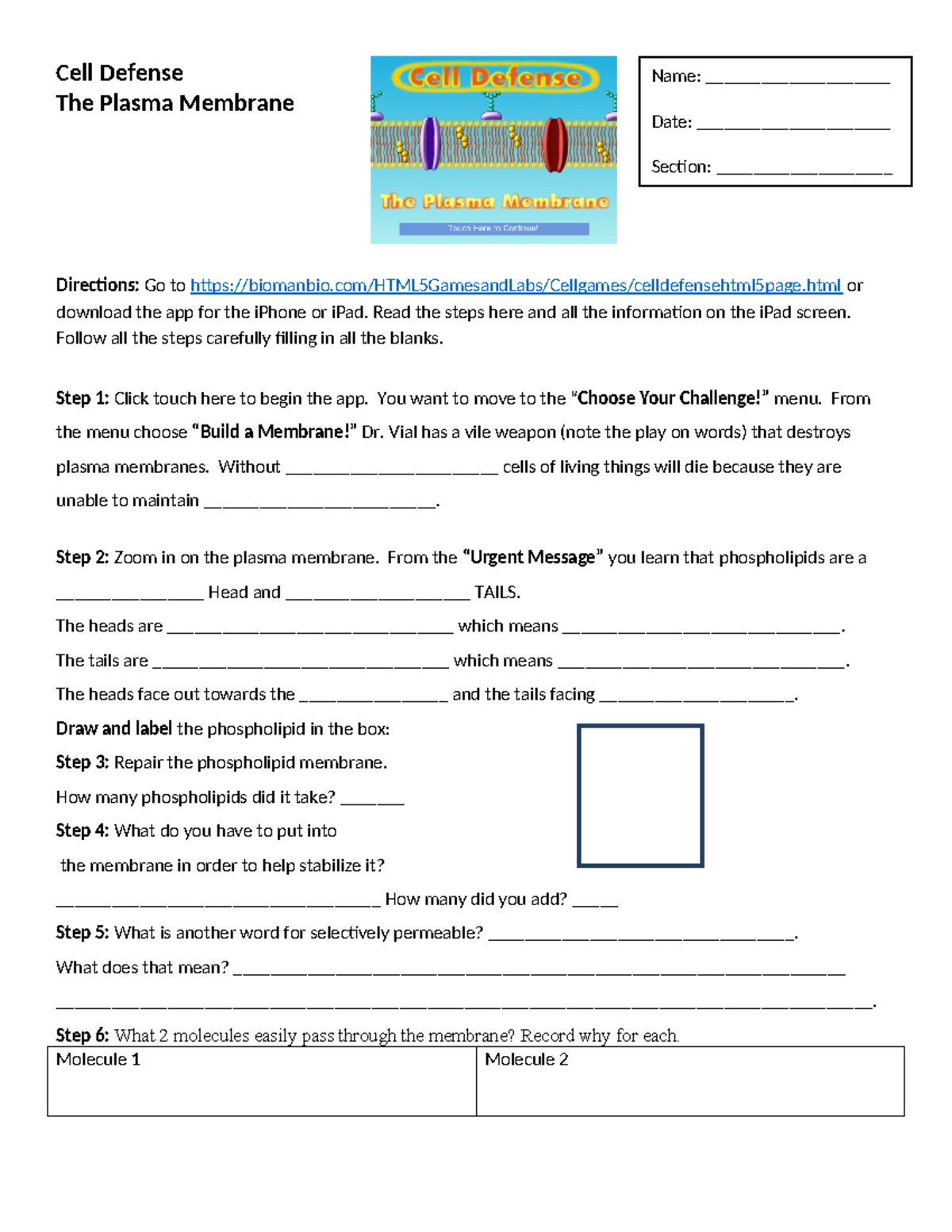 Cell Defense Activity 2: Exploring the Plasma Membrane Structure - Studocu