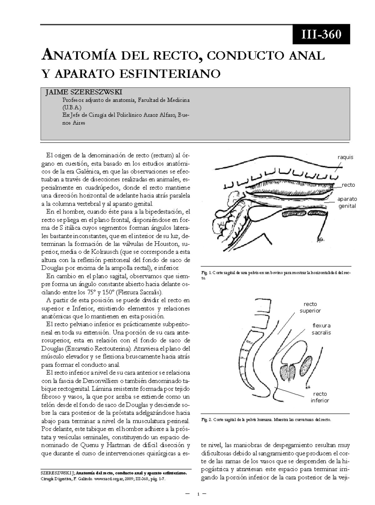 Anatomia de recto y ano - AnAtoMíA dEl rEcto, conducto AnAl y ApArAto ...