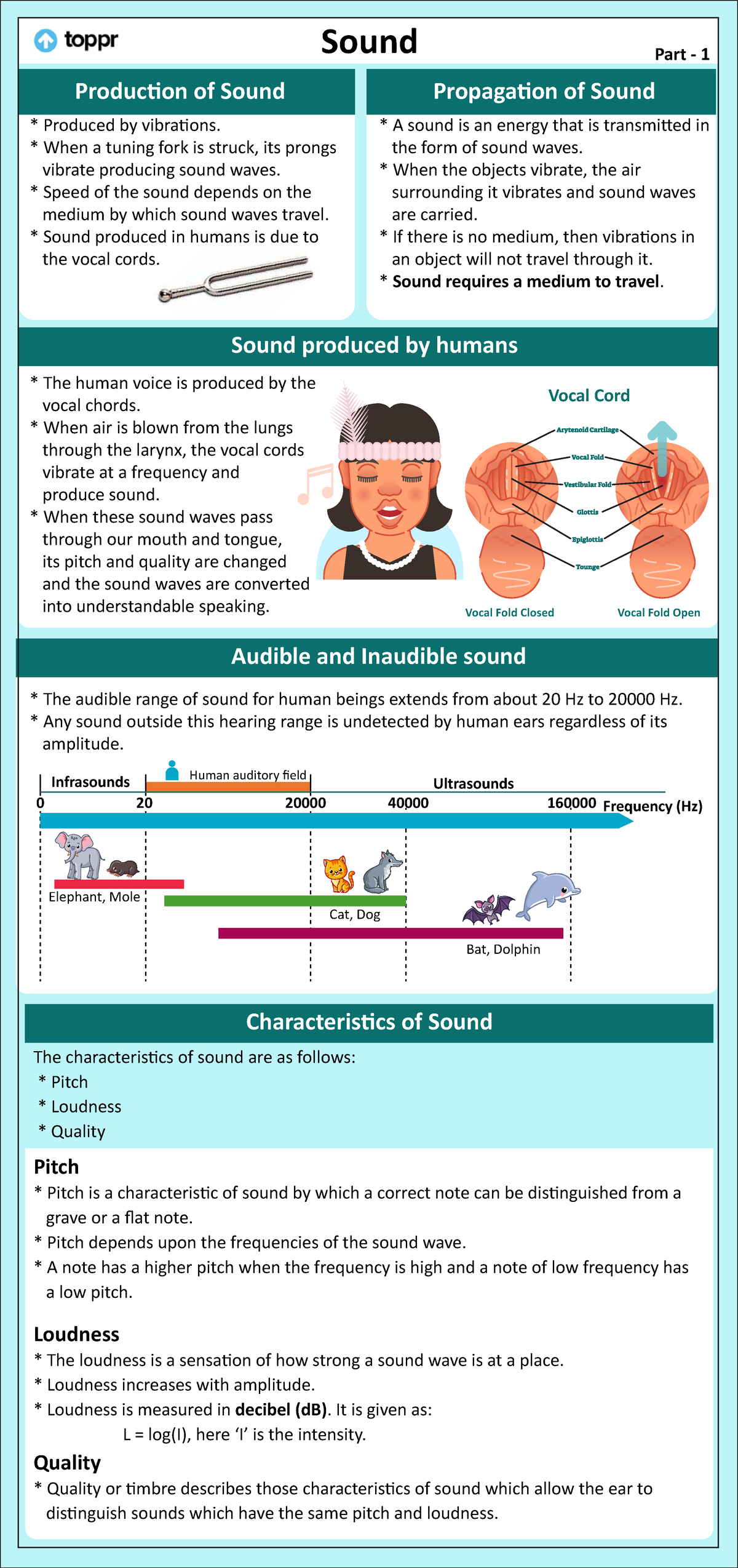 Sound - When the objects vibrate, the air surrounding it vibrates and ...