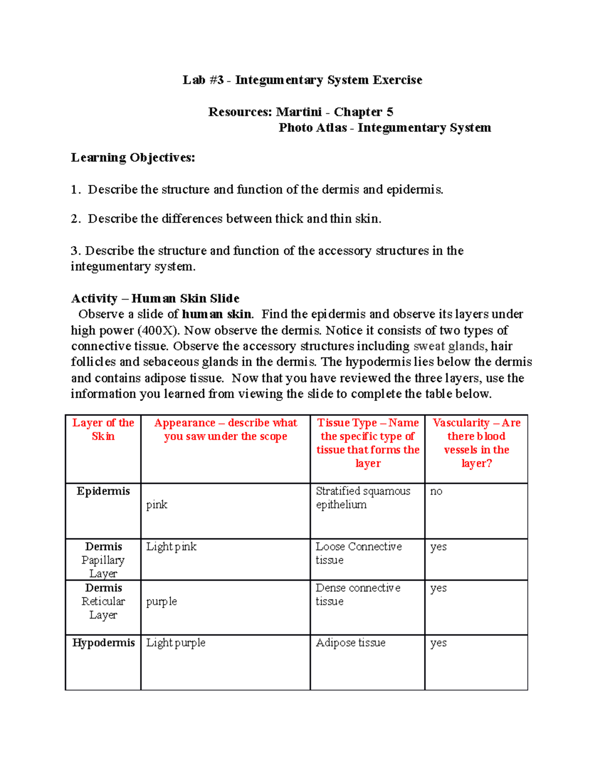 Lab 3 (ANAT 101): Integumentary System Skin Activity Notes - Studocu