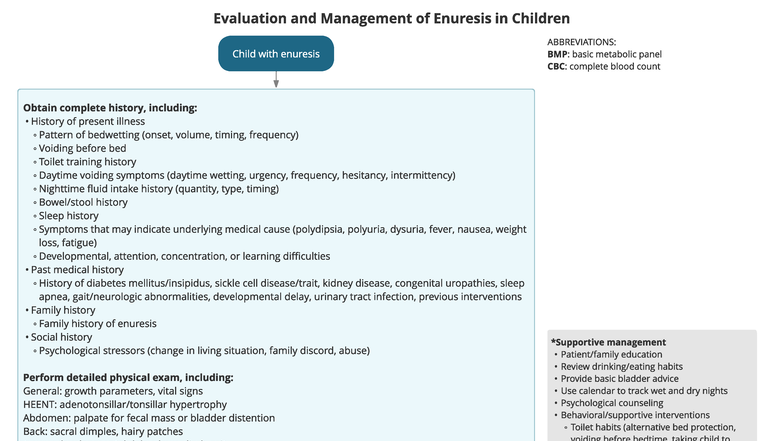 Management of Enuresis in Children: Clinical Algorithm and Guidelines ...