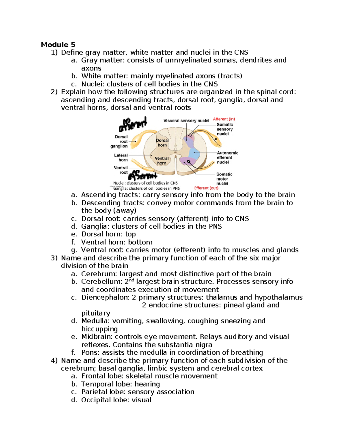 Module 5-8 learning objectives copy - Module 5 1) Define gray matter ...