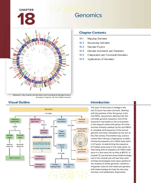 Mendelian Genetics: Principles of Segregation and Independent ...
