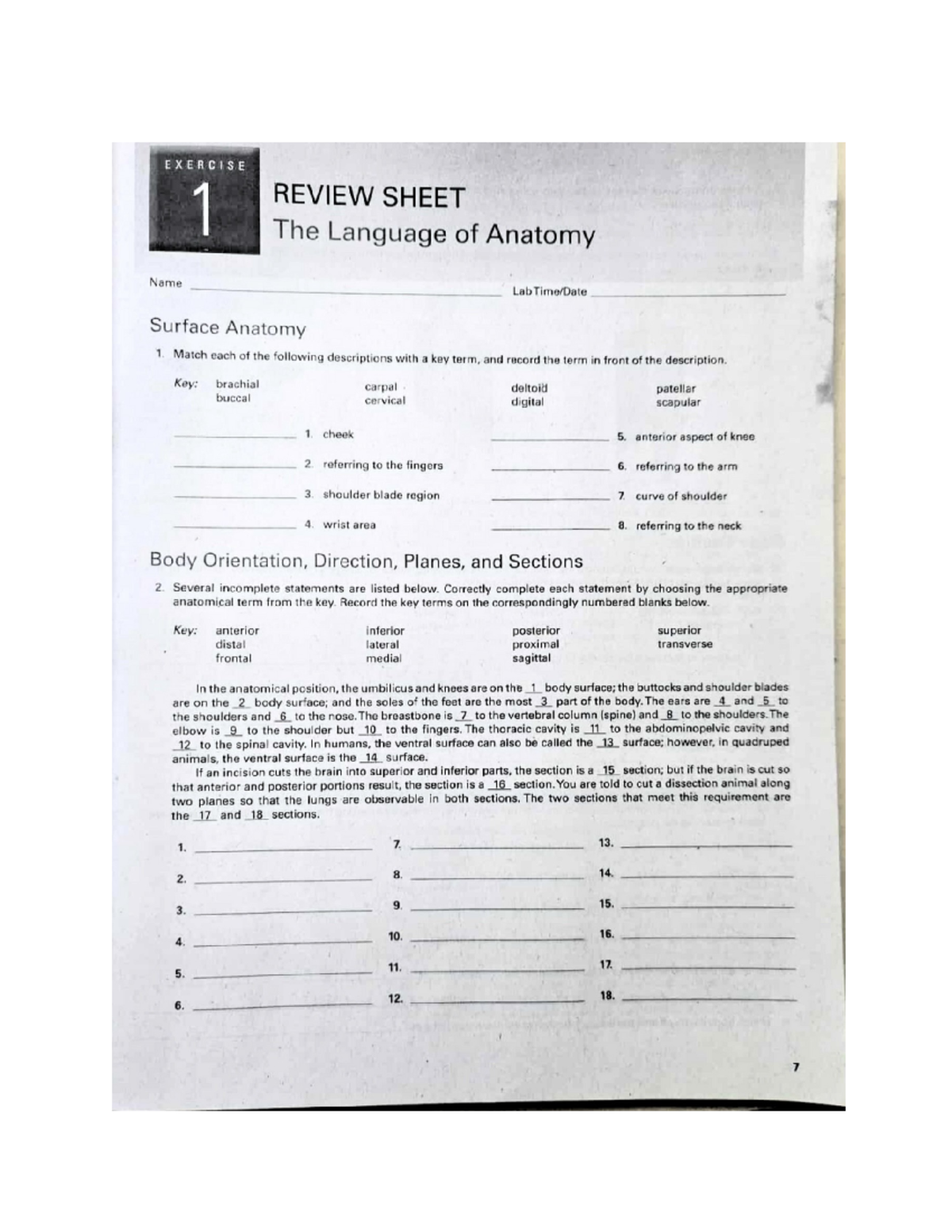 ANATOMY 101: EXERCISE REVIEW SHEET ON SURFACE ANATOMY - Studocu