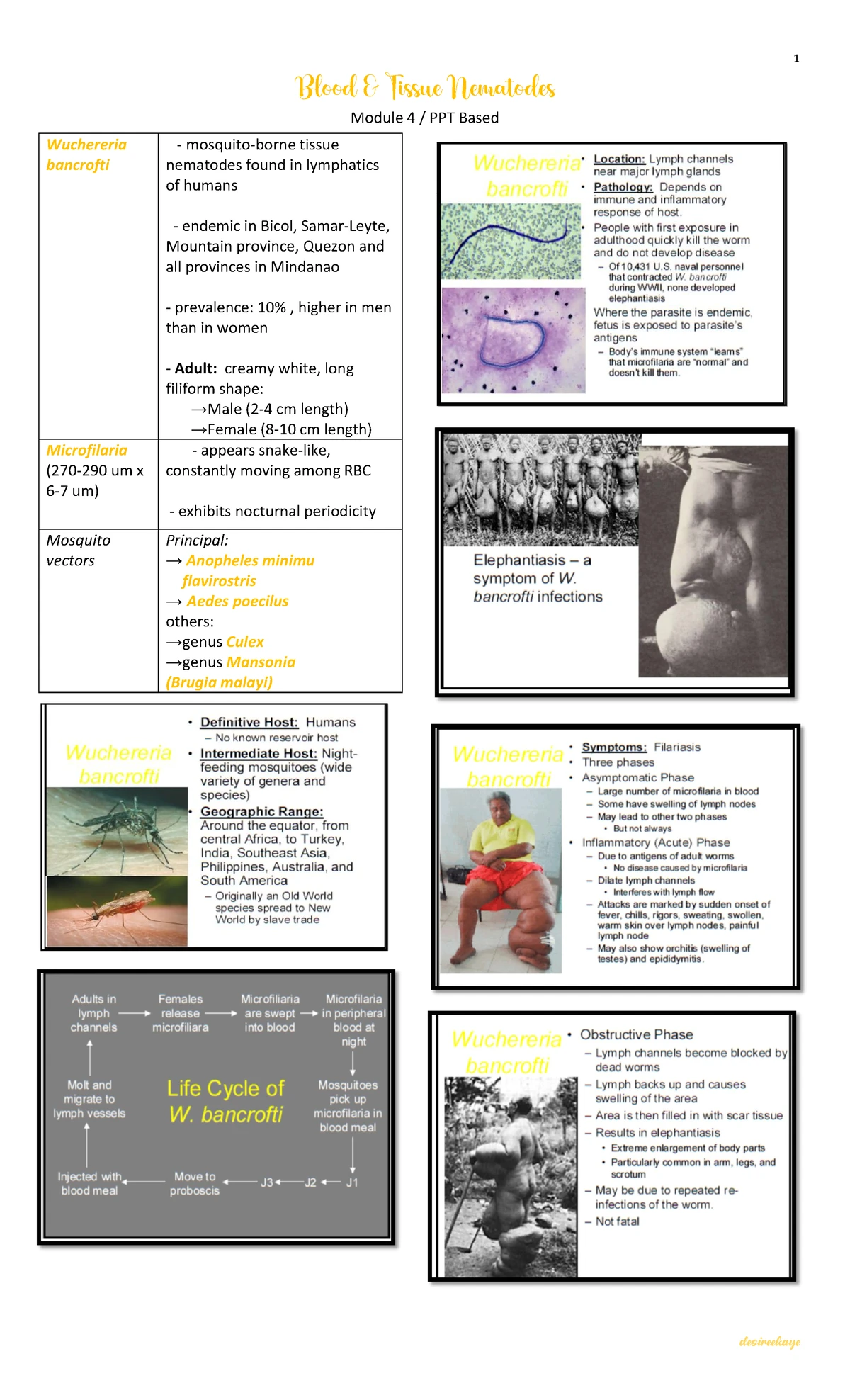 Mindray Quality Control Logsheet 2025 for Clinical Testing - Studocu