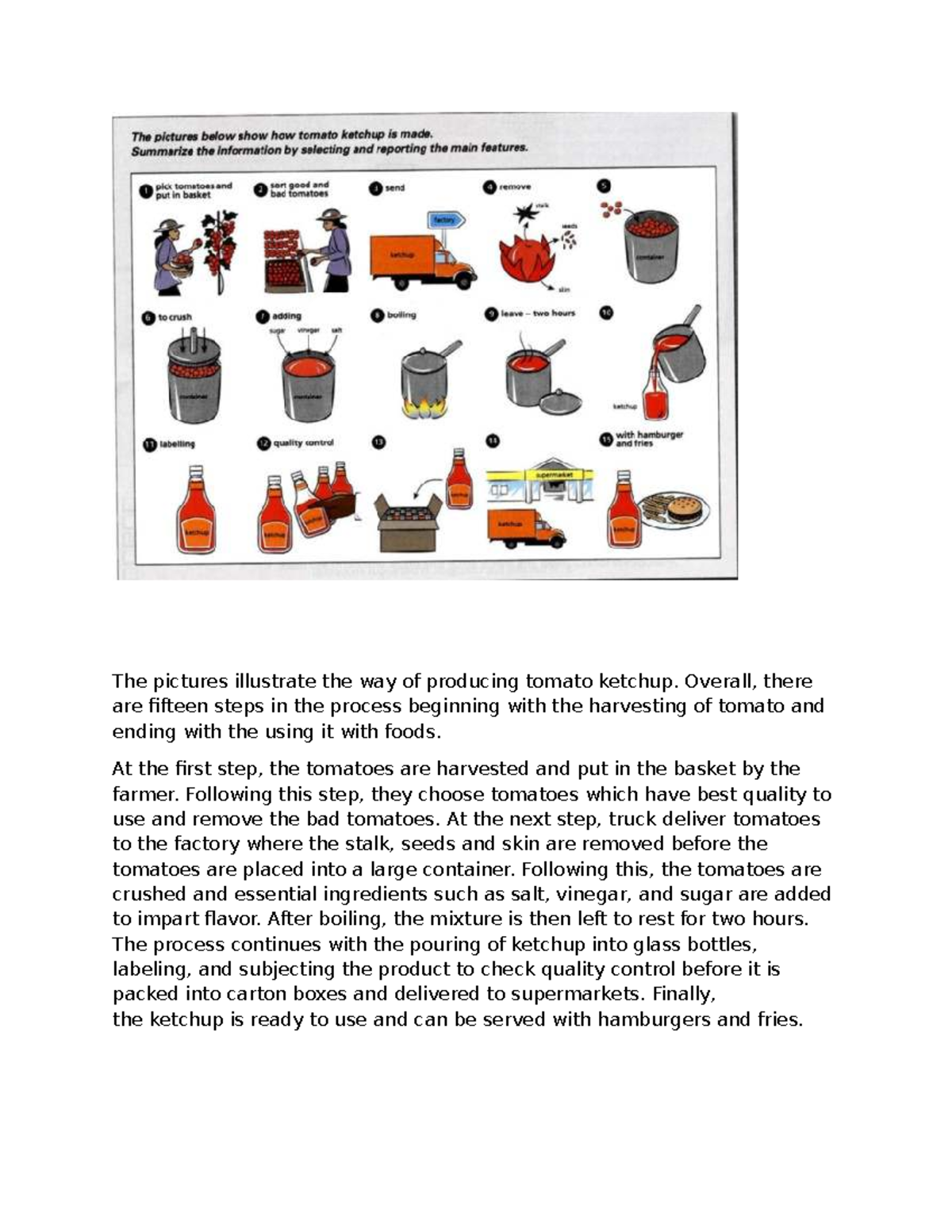 HW - Process of Producing Tomato Ketchup: 15 Steps Explained - Studocu